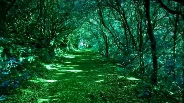 Пикник - Потерянный