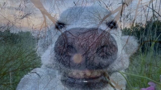 Jukebox Trio - Собачий блюз