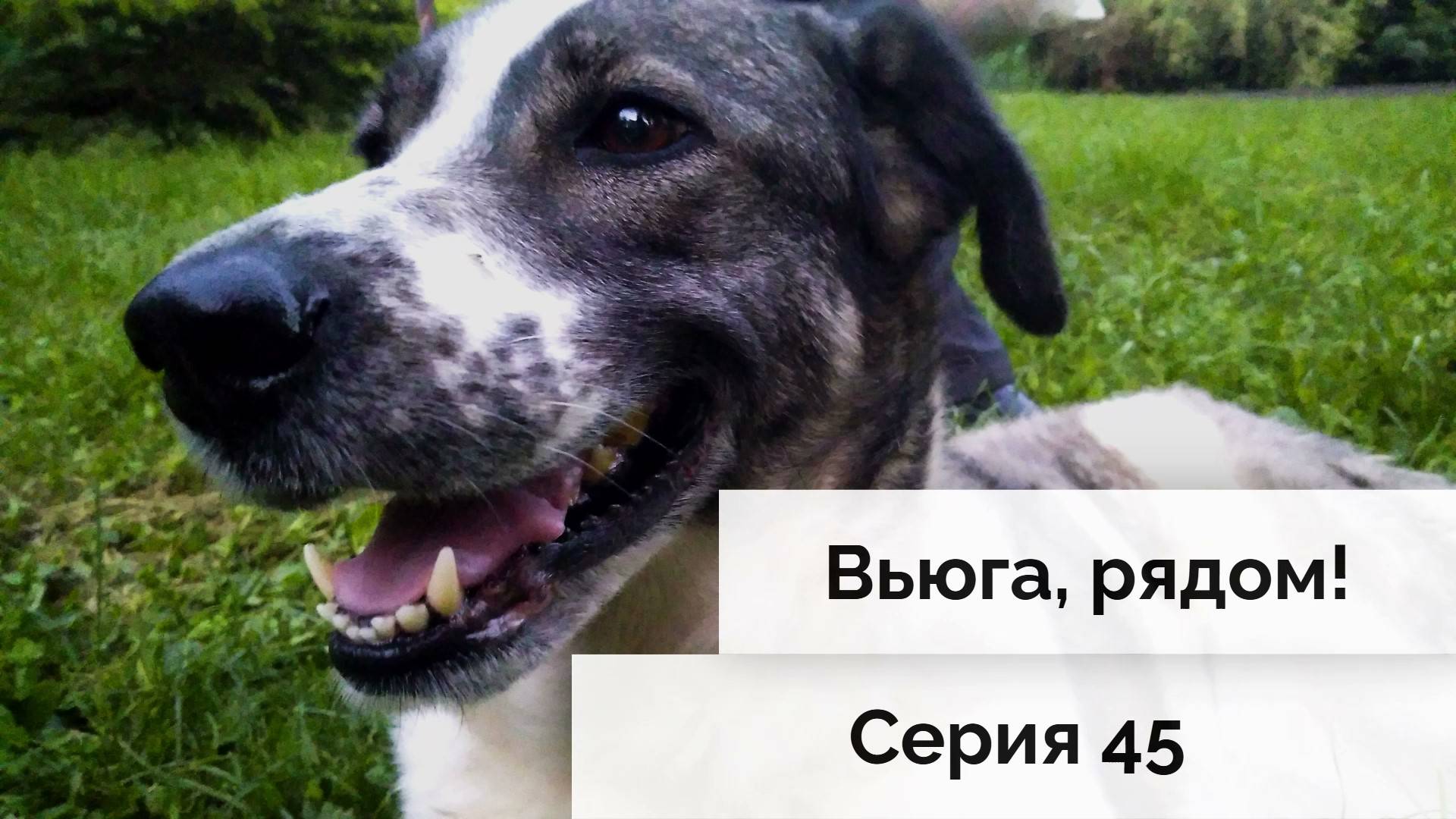 "Вьюга, рядом!" Серия 45