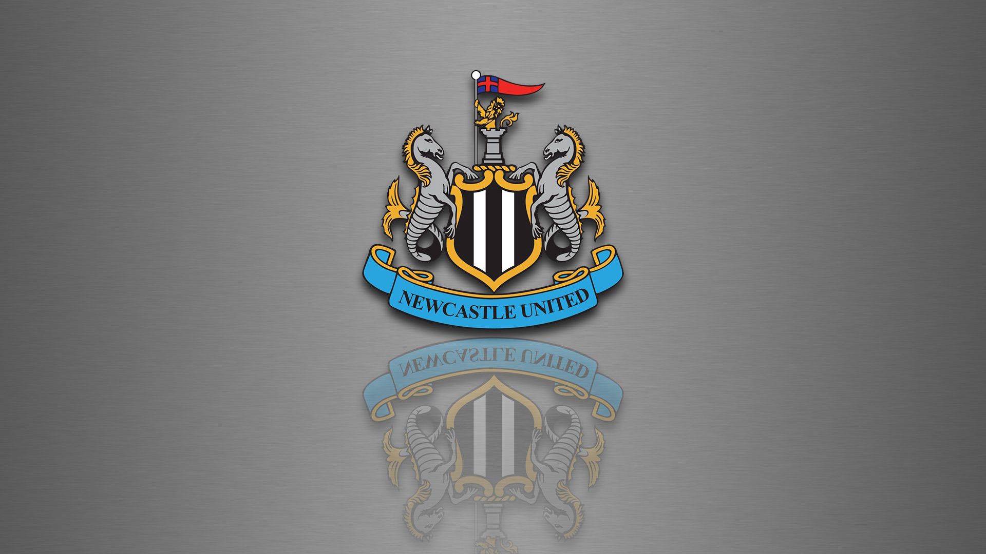 1-й тур   Вулверхэмптон-Ньюкасл