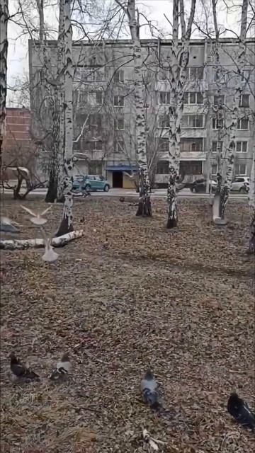 Полёт в весеннем лесу