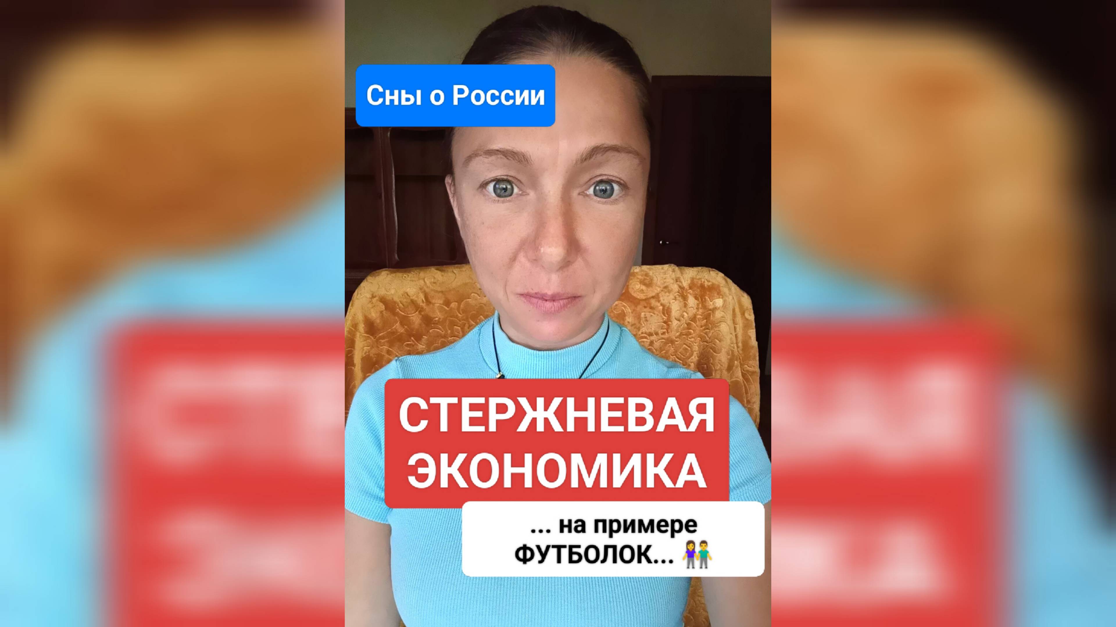 Стержневая экономика... На примере ФУТБОЛОК (Сны о России)