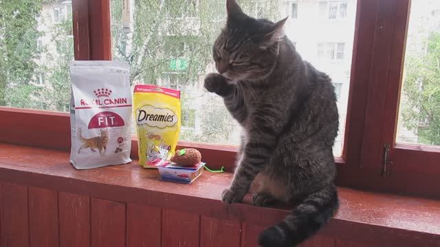 Подарки для Тимы.