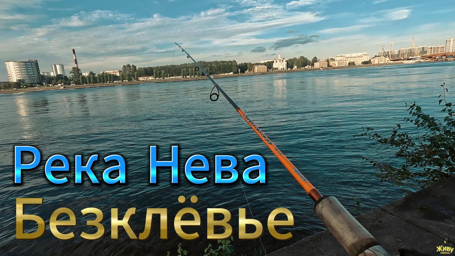 Река НЕВА КОГДА ТО НА ЭТОМ БЕРЕГУ БРАЛ НА ОТВОДНОЙ ОКУНЬ ХОРОШИЙ СУДАК ЗАЧЁТНЫЙ РЫБА ХОДИТ НЕТ КЛЁВА