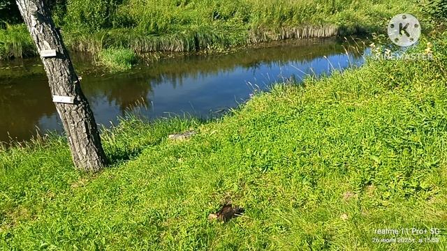 Поход родителей ~ Беседка «Благовест» , июль 2025.