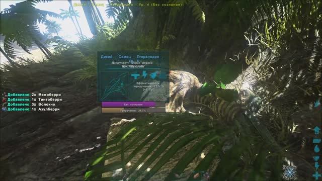 Приручение первого динозавра. PVE. ARK Survival Evolved. #2