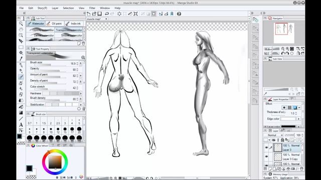 Lecture 05 - How to Draw Smooth Sexy Females 2
