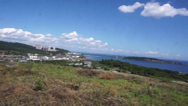 Батарея с белками.