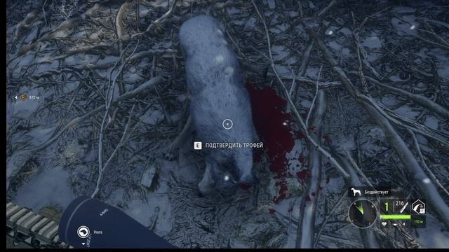 Охота. Волки пытались напасть на охотника.