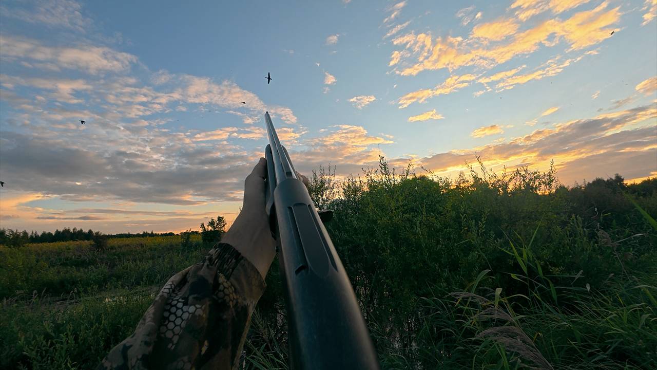 Охота на Уток на Болоте 2025