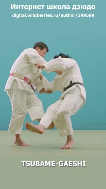 66Интернет школа дзюдо.Контрбросок от боковой подсечки.TSUBAME-GAESHI