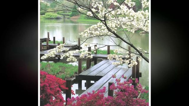 WaveWizzard - Expanding Inner Spaces