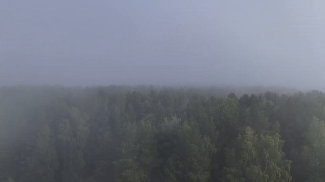 Полёт на дроне в тумане