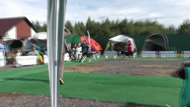 Сравнение класса ЧНКП