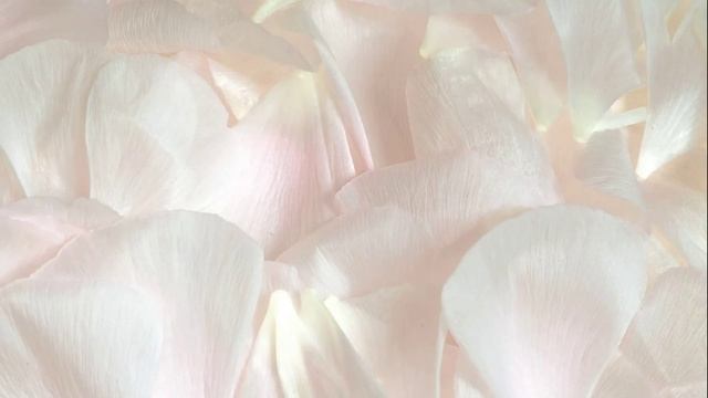 медитация "Очищение дома" с Татьяной Турятка