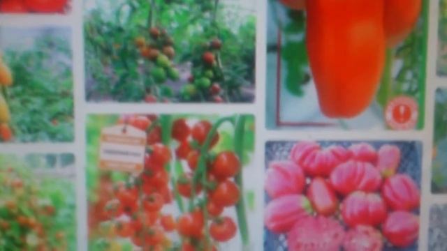 Какие семена я приобрёл для нового сезона.