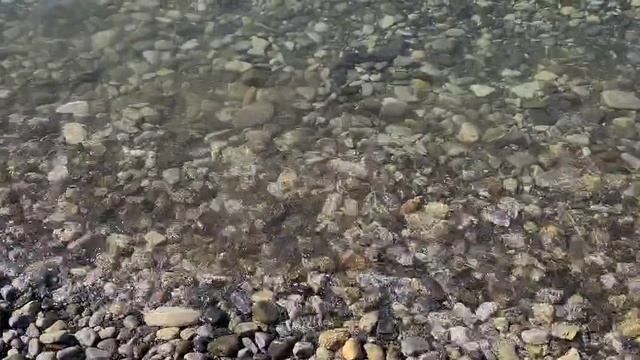 Не волнуйся , море! Я с тобой!