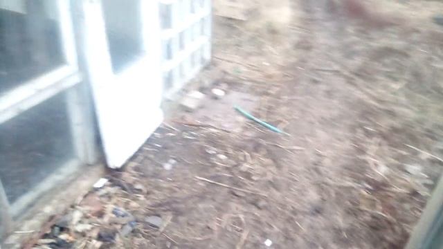 Обновка для теплицы... термометр...