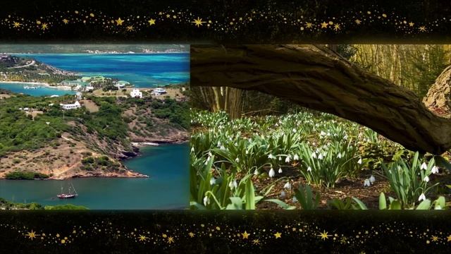 WaveWizzard - Catching Fire