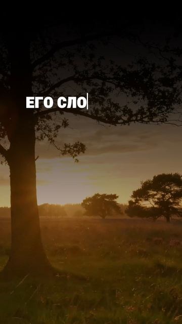 Записки из онкологического центра | Сильная христианская аудиокнига