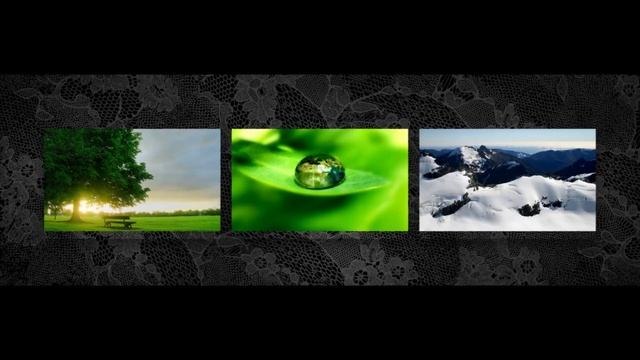 WaveWizzard - Soul Asylum