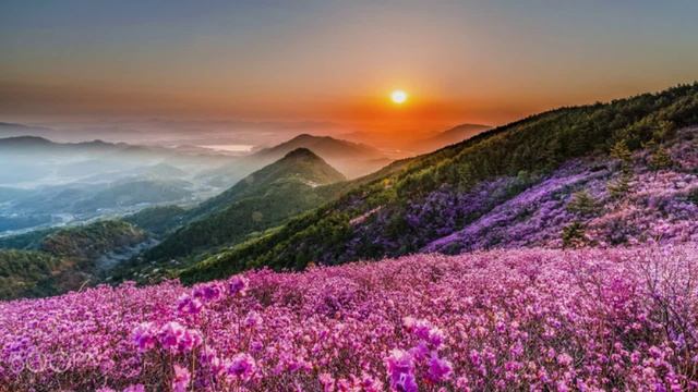 ВСЕ МОГУ Я С НИМ! Пастор Нурлан Бекмурзаев