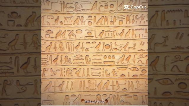 ловите бонусик😉