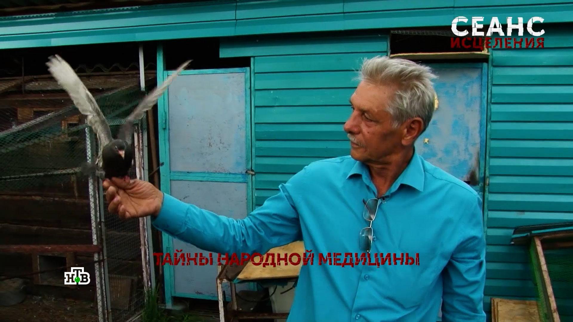 «Сеанс исцеления». 3 серия | «Основано на реальных событиях»