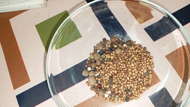 🍅🌶️ Домашний кетчуп — вкусный и ароматный рецепт 🍅🌶️