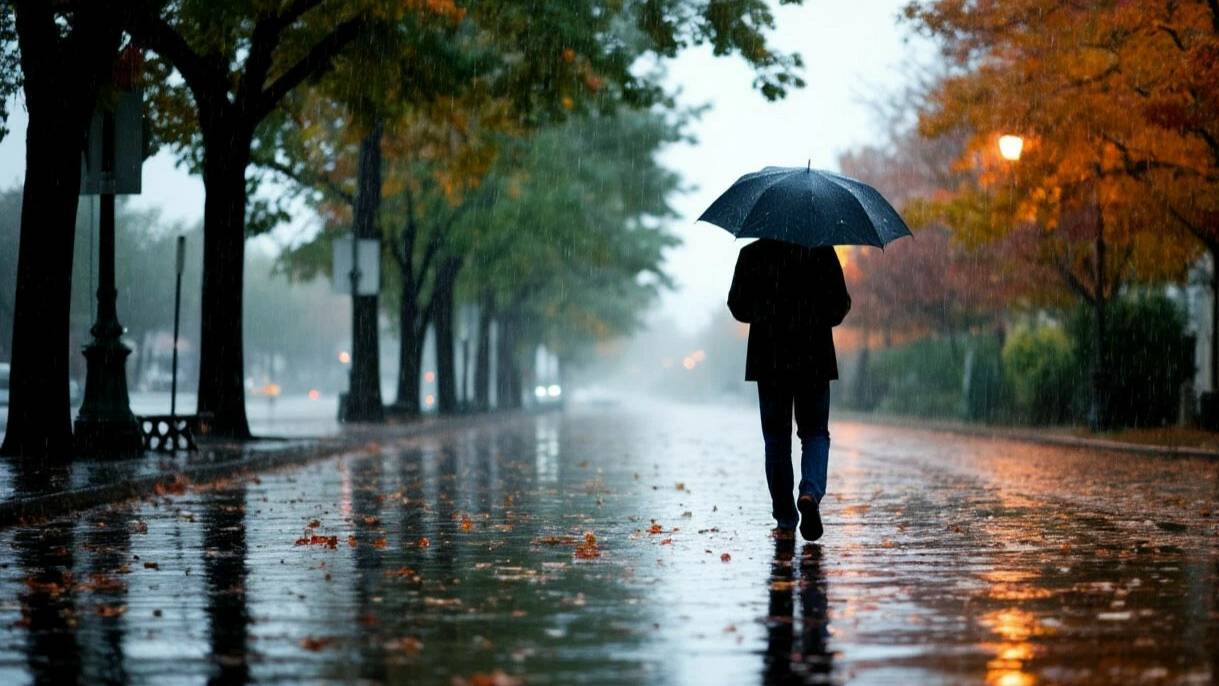 Шелестит дождик