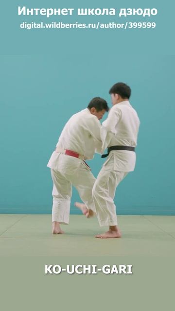 56Интернет школа дзюдо.Подсечка изнутри.KO-UCHI-GARI.