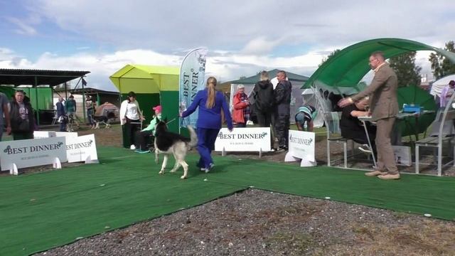 Кристал Айс из НД