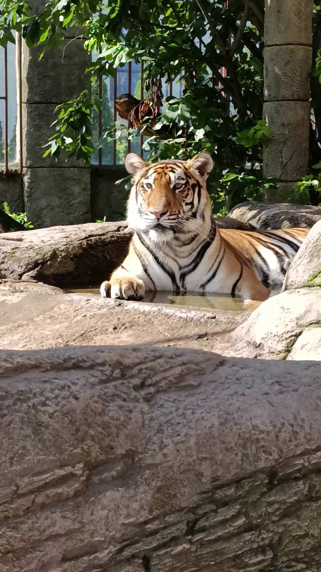 В мире животных. Выпуск 23