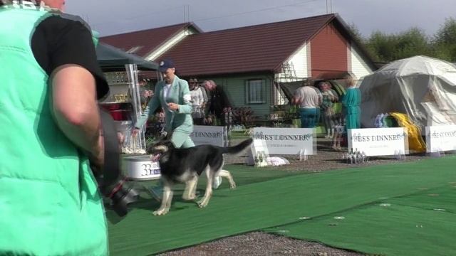 Горден-Грей