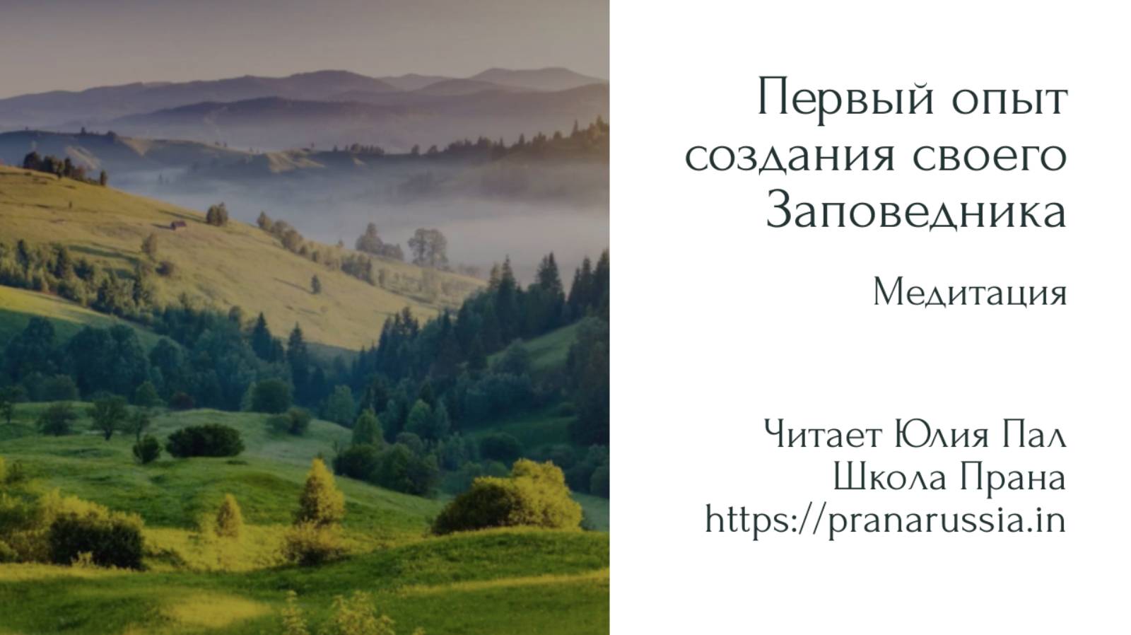 Медитация "Первый опыт создания своего Заповедника" (август 2025 г.)