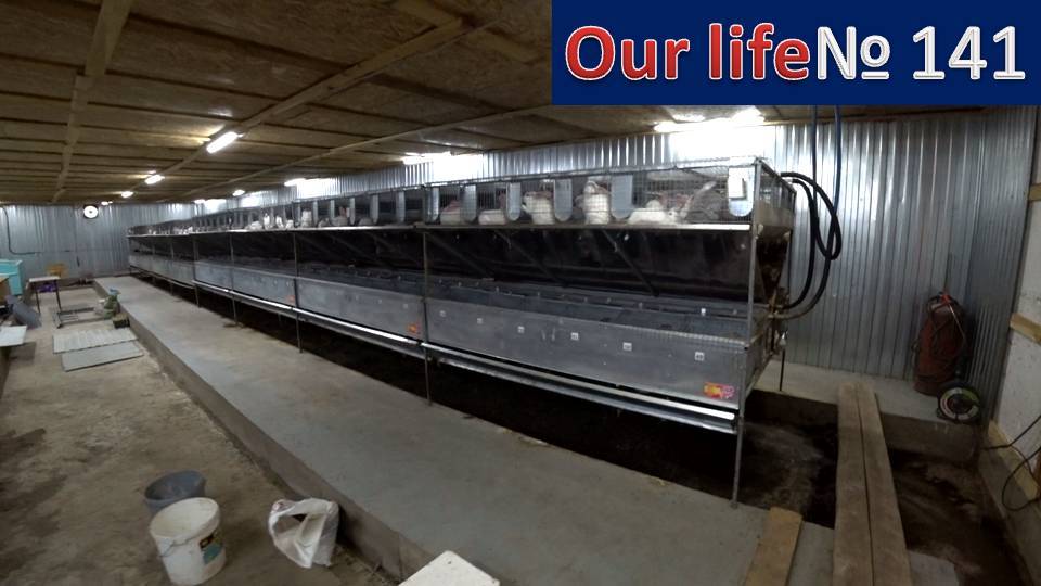 Что нового на ферме?