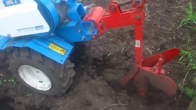 Сажаем витаминную  фасоль журавушка