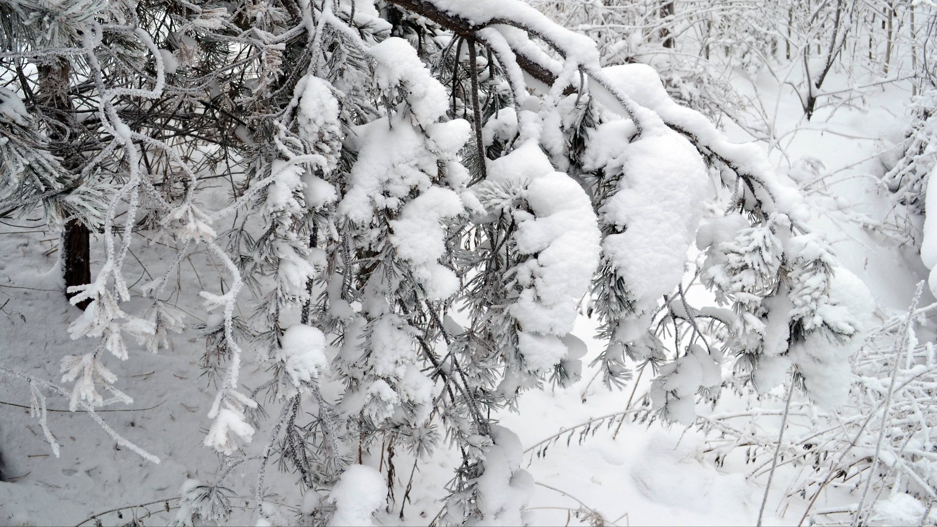 Природа Урала ~ Зима..