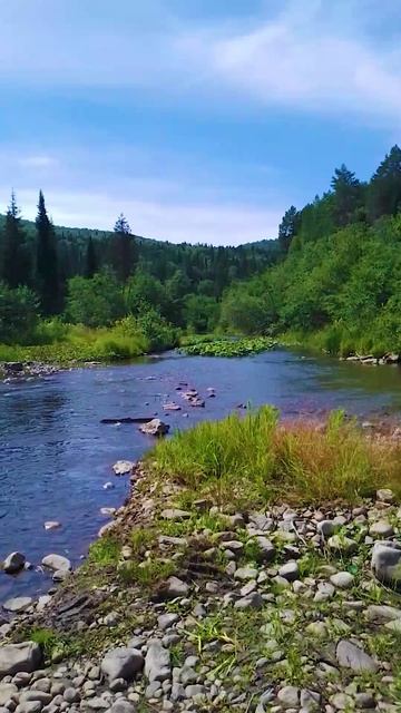 🌺Скрытый смысл искупления