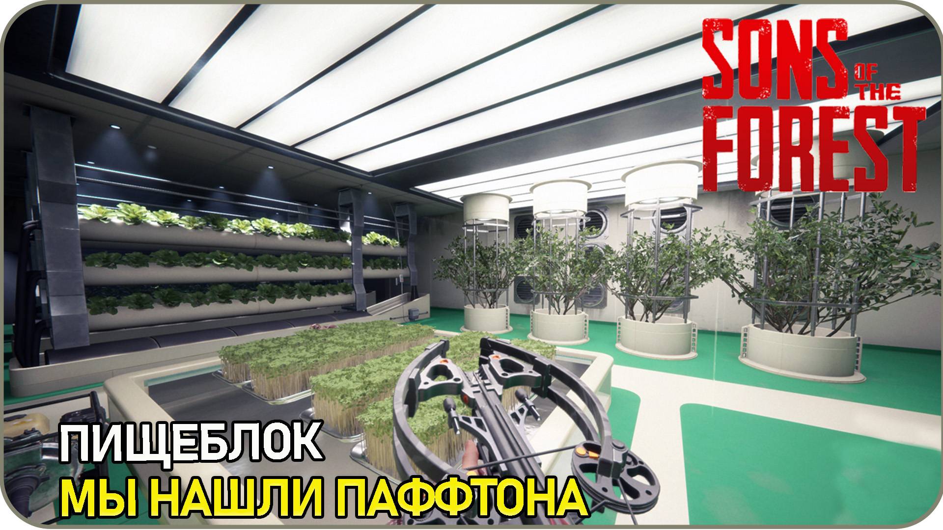 Серия 11 В пищеблок спускаемся. Главная цель обнаружена [ Sons Of The Forest ]