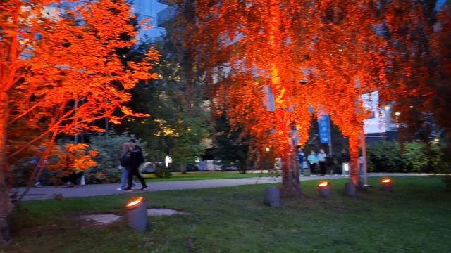 Вечерний вайб Екатеринбурга