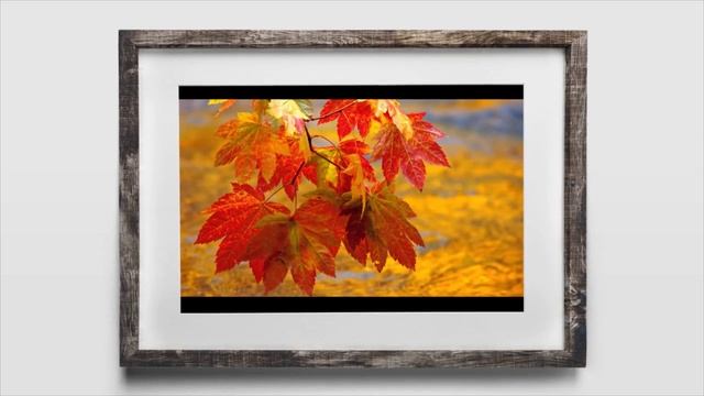 WaveWizzard - Inner Spaces (acoustic piano)