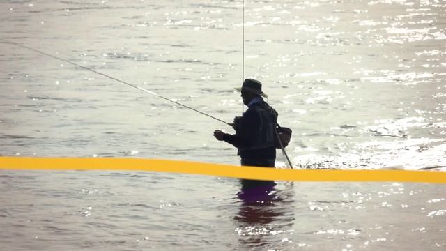 "НАРОДНЫЙ ПРОЕКТ СИБИРЬ"