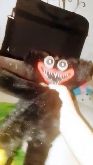 Заблудились