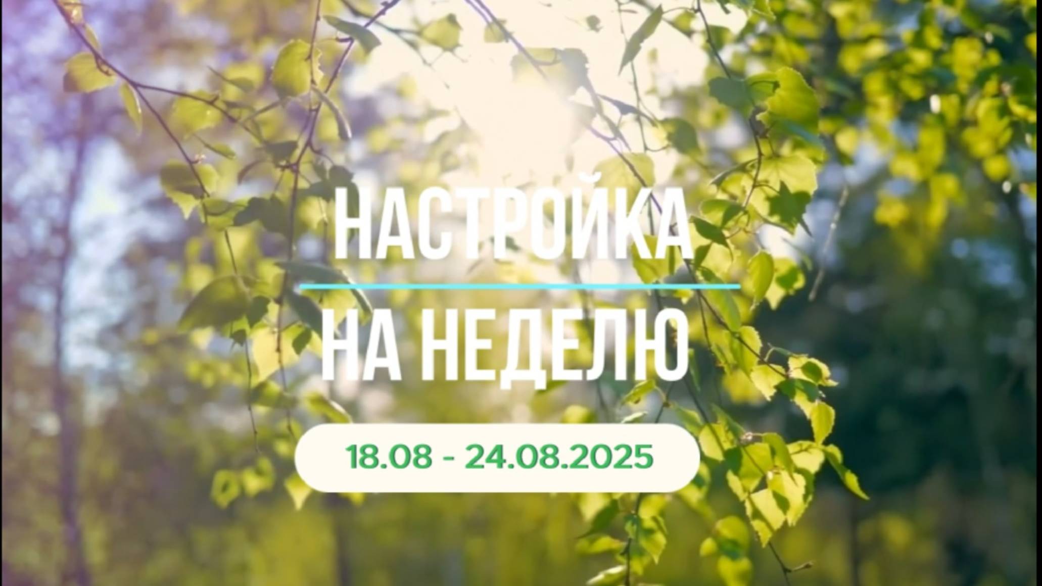 Настройка на неделю 18.08 - 24.08.2025. #психология #осознанность #медитация