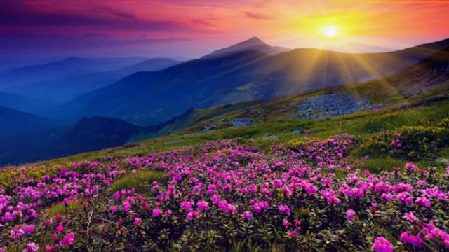 ПРОСЛАВЛЯЙТЕ ГОСПОДА ВСЕ ЛЮДИ ЗЕМЛИ! Пастор Нурлан Бекмурзаев