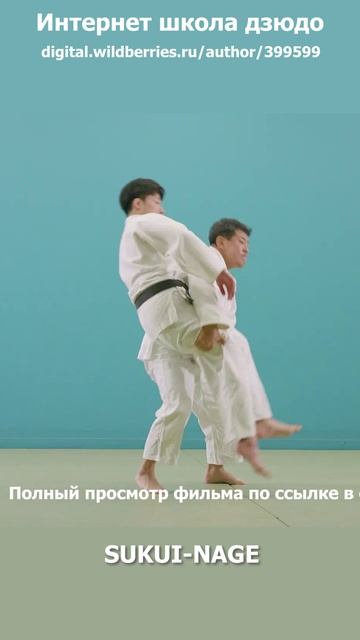 11Интернет школа дзюдо. Бросок обратным захватом двух ног.SUKUI-NAGE.