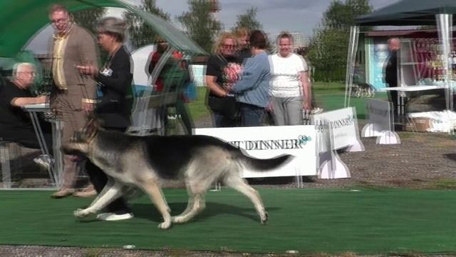 Демираль Ураган