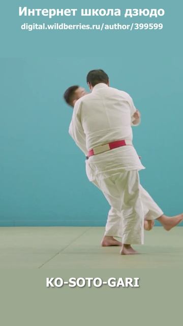 55Интернет школа дзюдо.Подсечка в пятку .KO-SOTO-GARI.