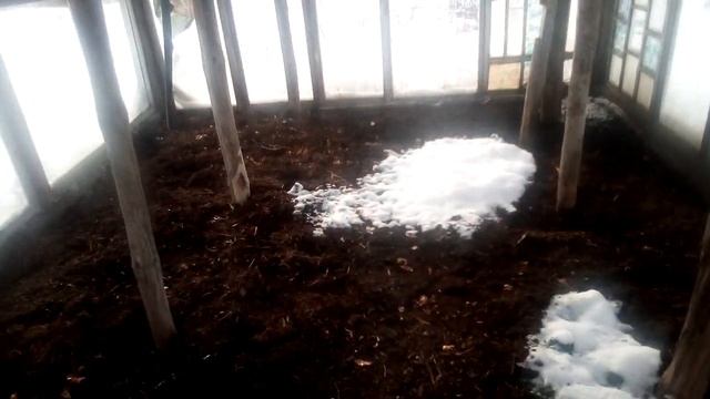 Обзор хозяйства после снегопада